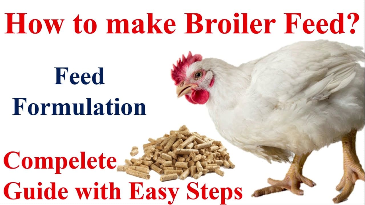 How To Make Broiler Starter And Finisher Feed FarmPally How To Make Broiler Starter And Finisher Feed FarmPally