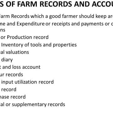 Crop Modeling In Agriculture: Types And Advantages In Increasing ...